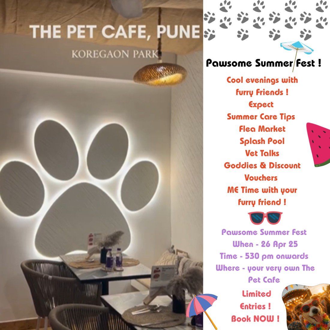 Summerfest - Curated Event by Pawsome sunday , The Pet Cafe Pune, 26 ...