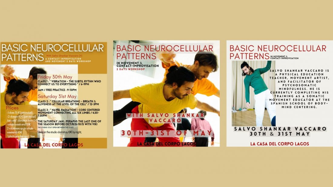 Contact Improvisation & Movement-2 daysworkshop-Basic Neurocellular ...