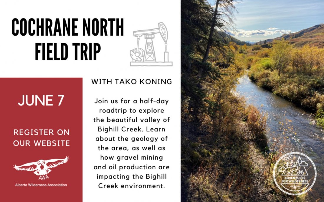 Cochrane North Field Trip, Historic Cochrane Ranche, 7 June 2025 ...