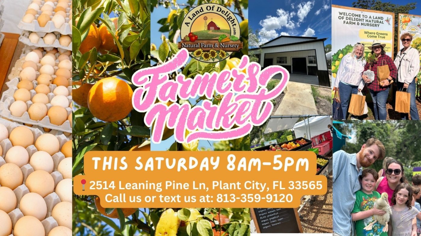 A Free Day of Family Fun & Local Flavor – Farmers Market Style!, A Land ...
