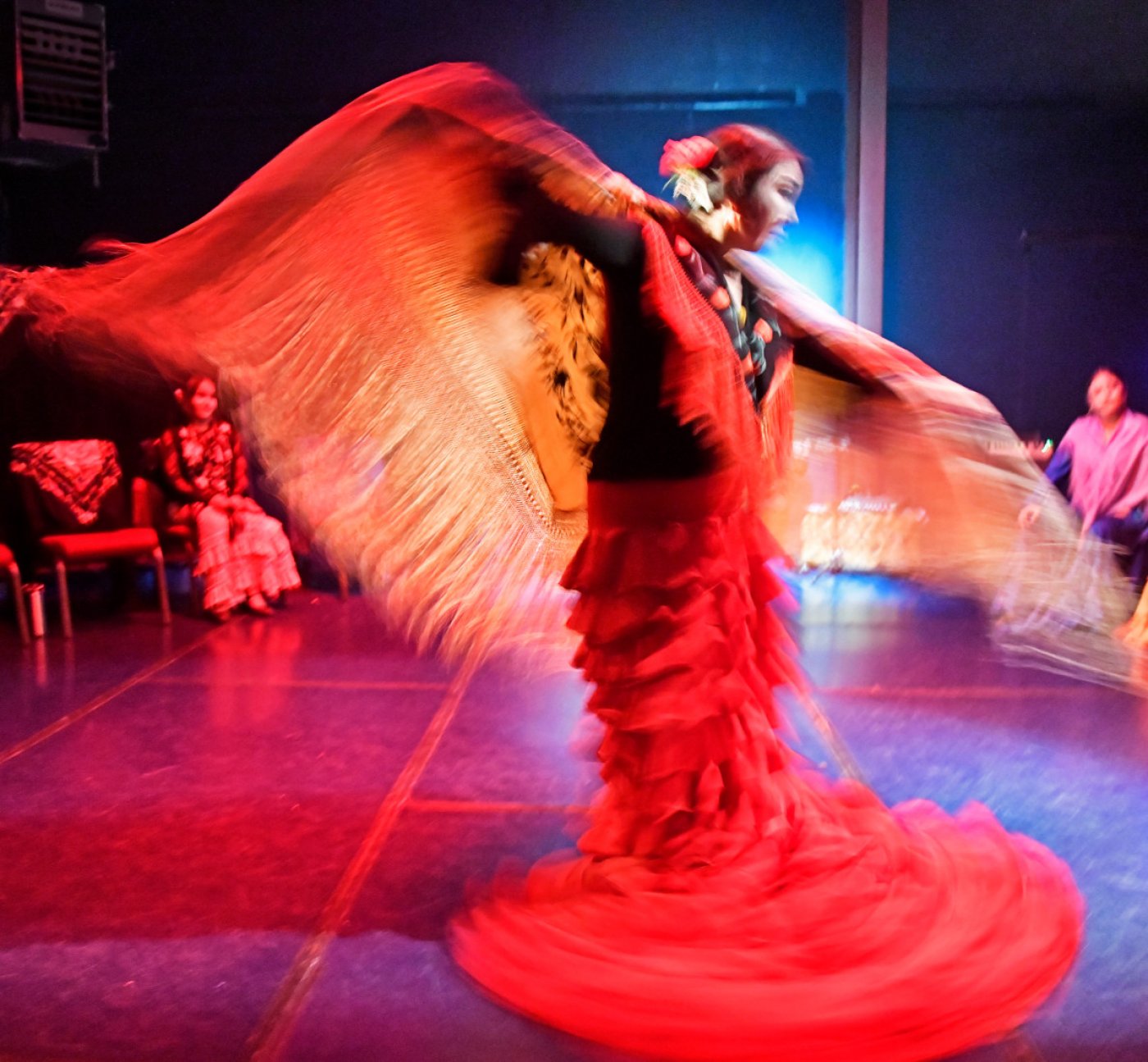 Flamenco Fiesta de Santa Fe 2025 Fall - Mariposa del Aire (Butterfly of ...