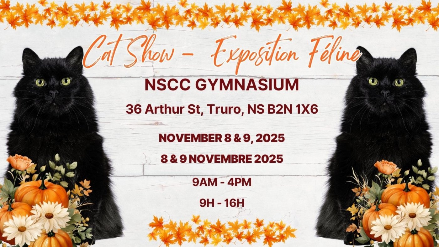 Fundy Fanciers Truro Cat Show, NSCC - Truro Campus, 8 November to 9 ...