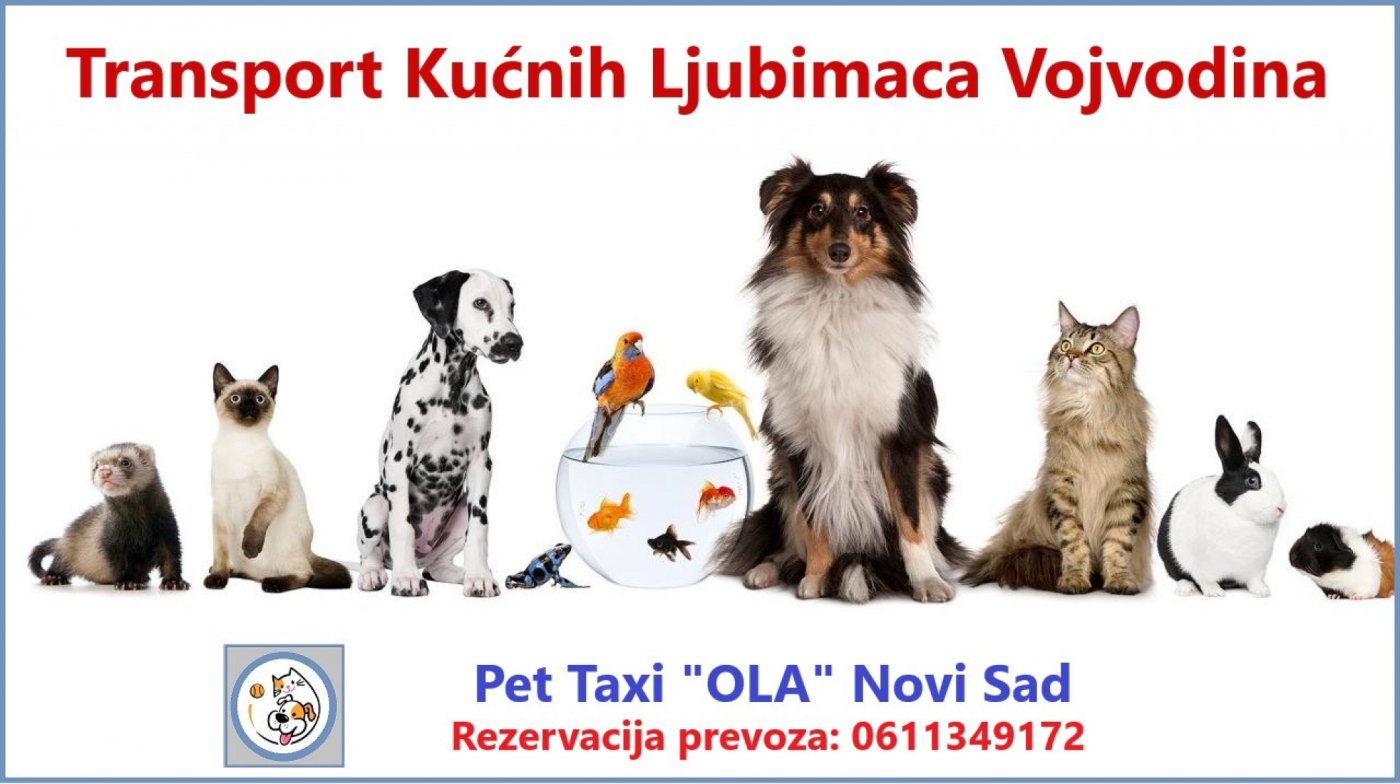 Transport kućnih ljubimaca Vojvodina, Pet Taxi "OLA" Novi Sad - prevoz ...