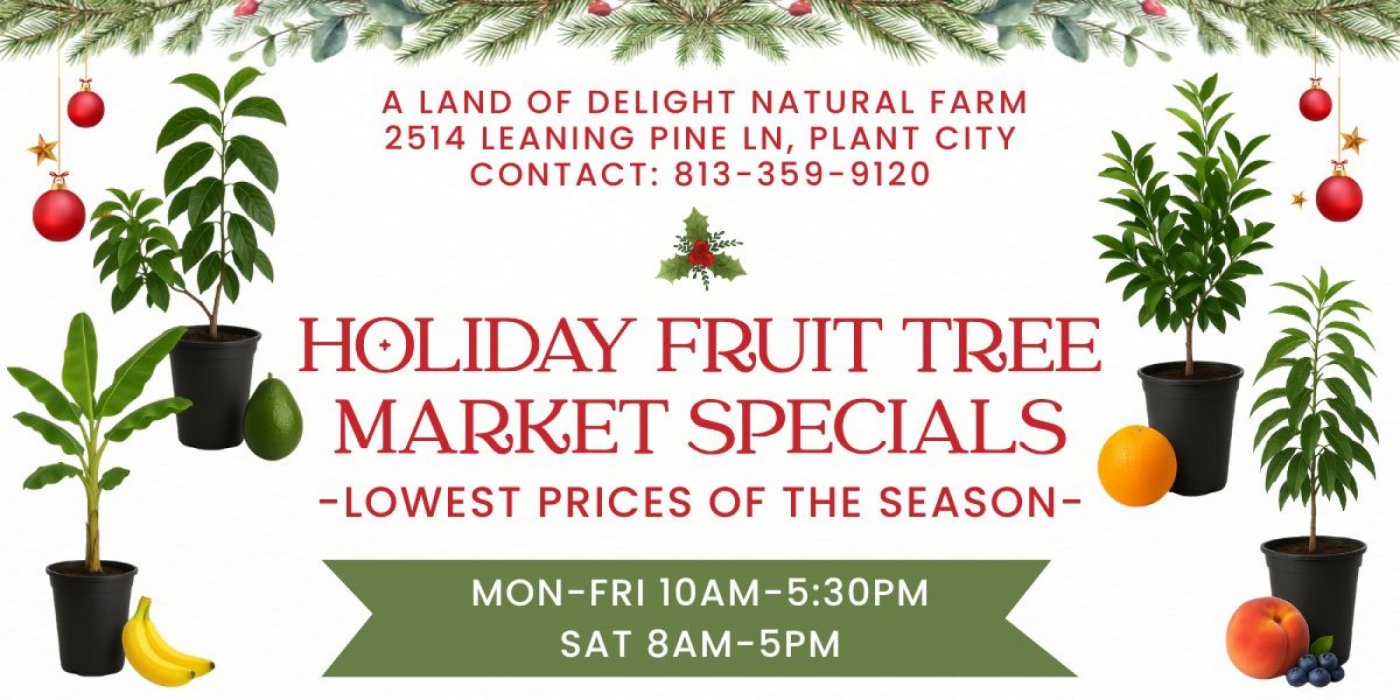 Central Florida’s Holiday Fruit Tree Market Special (Lowest Prices Of ...