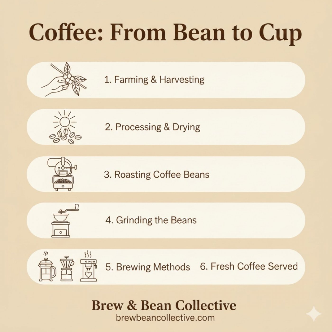 Latte Art Basics Session, Brew & Bean Collective, Bengaluru, Karnataka ...