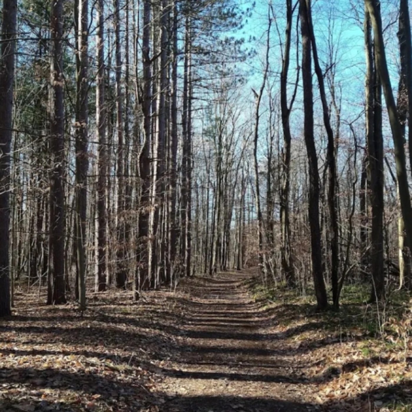 Desserts and Data Center Discussion, The Goose, Oakfield, 27 January ...