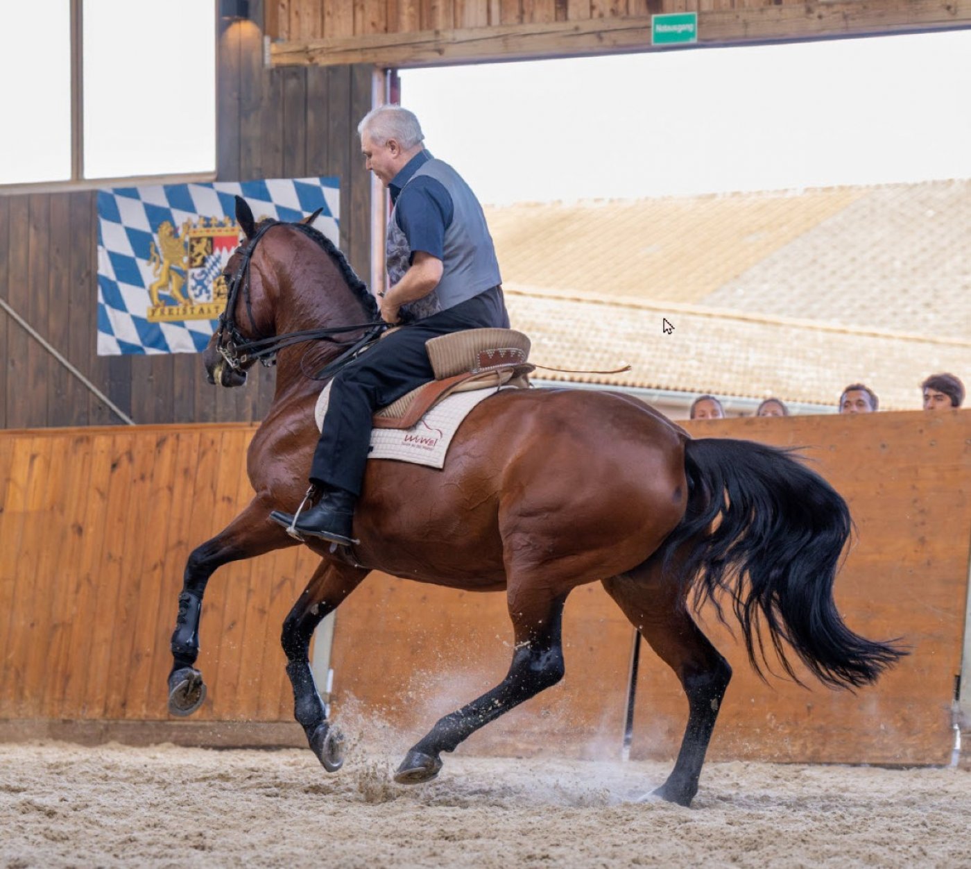 The art of Vertical Riding with Manuel J. de Oliveira (part 2) Tickets ...