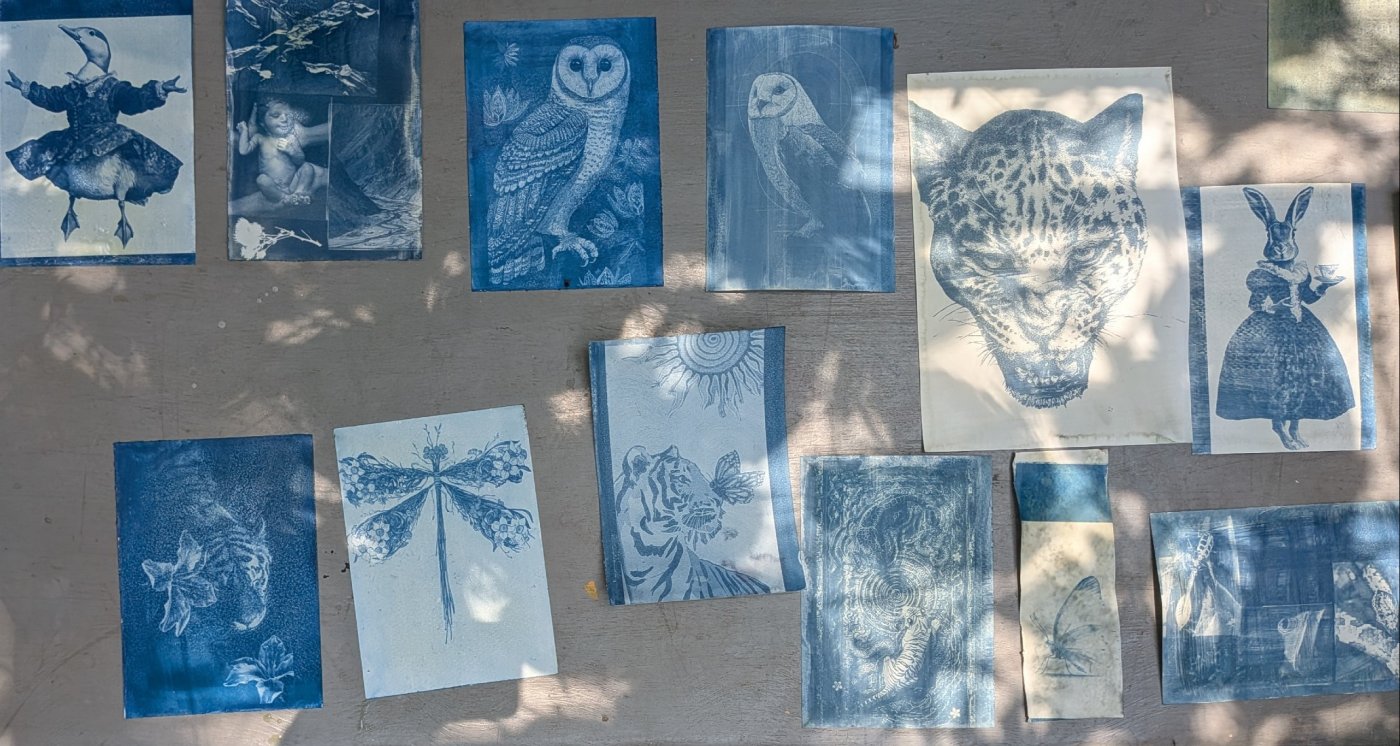 Cyanotype Workshop Tickets, The Purple Turtles , Hyderabad, 30 May 2026 ...