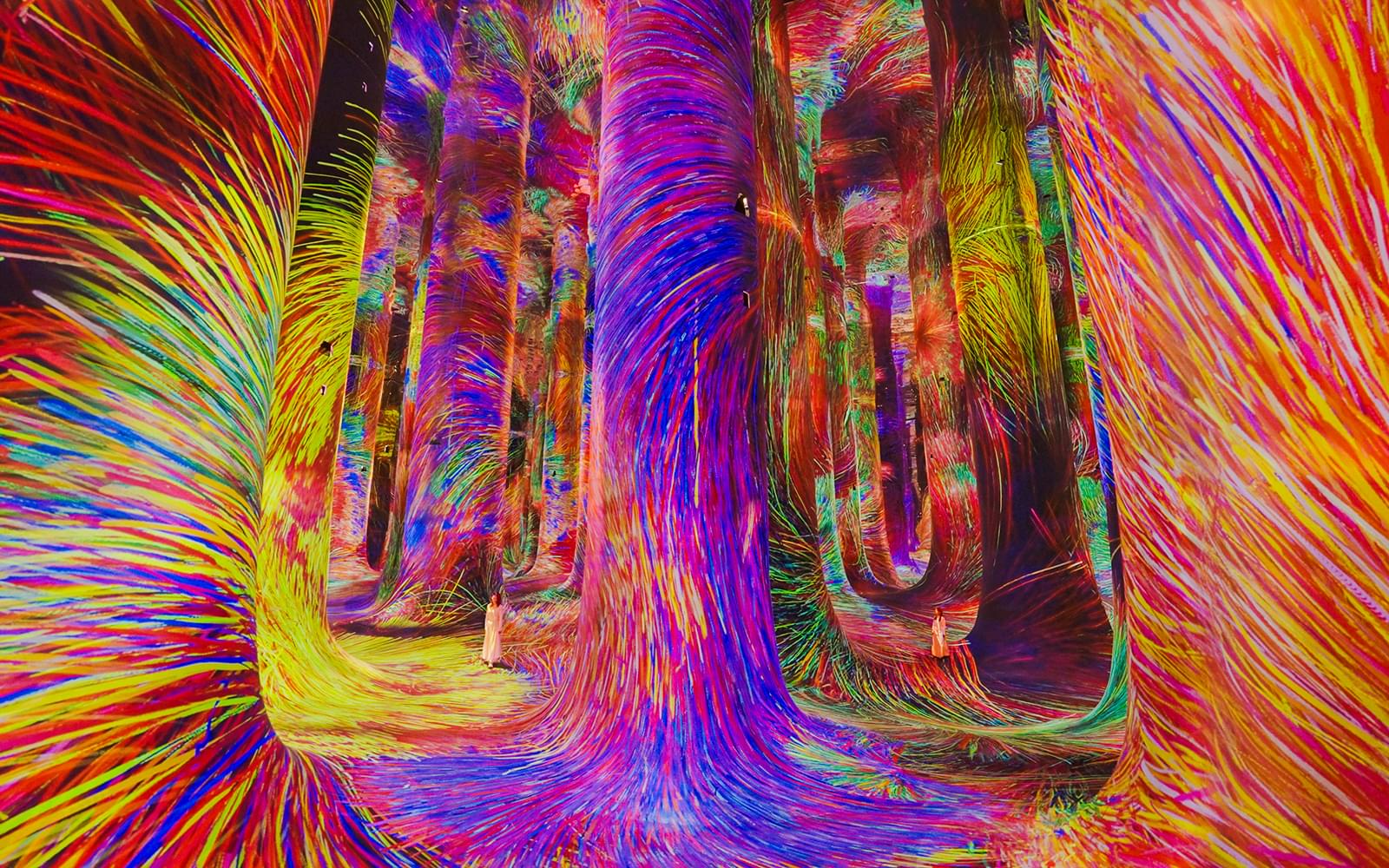 teamLab Phenomena Abu Dhabi
