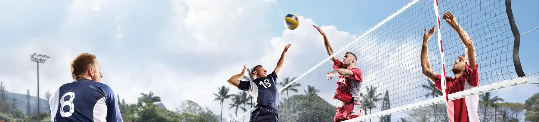 Dublin Sports Events - Sports Tournaments, Matches, Events & Tickets in ...