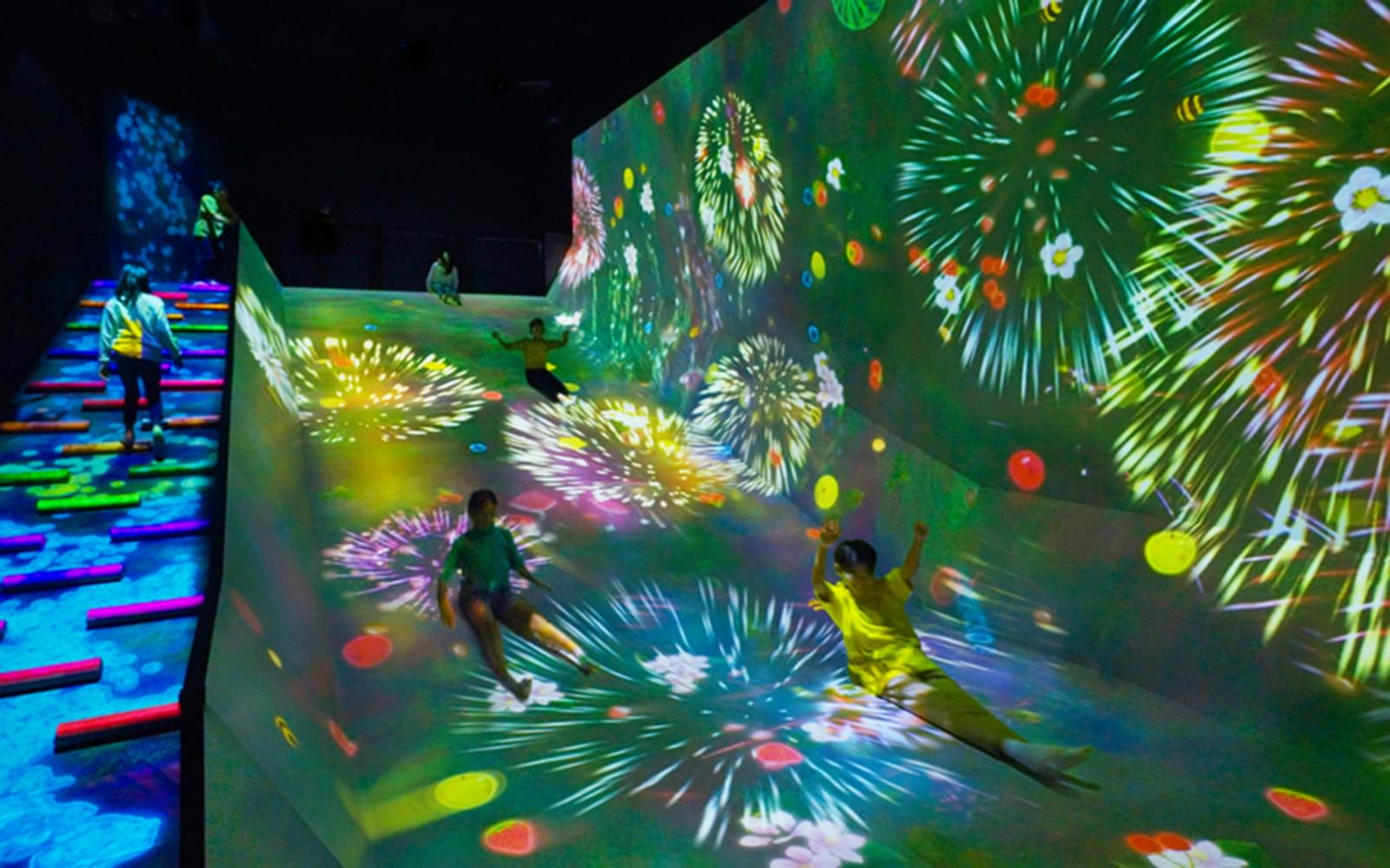 ArtScience Museum Exhibition Tickets: teamLab Future World