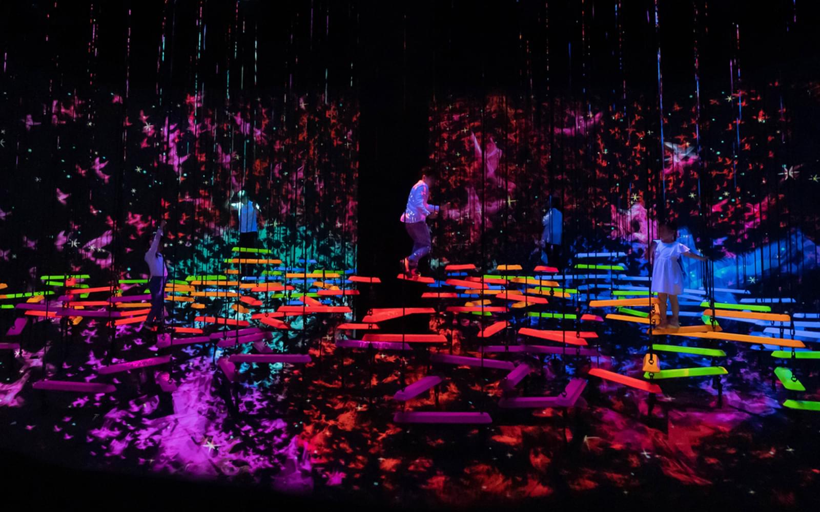 ArtScience Museum Exhibition Tickets: teamLab Future World